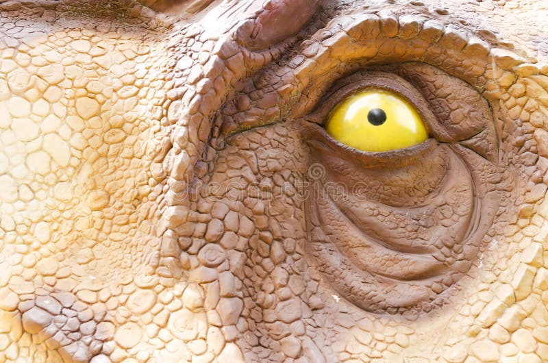 Dinosaur Eye Stock Images - Download 2,136 Royalty Free Photos