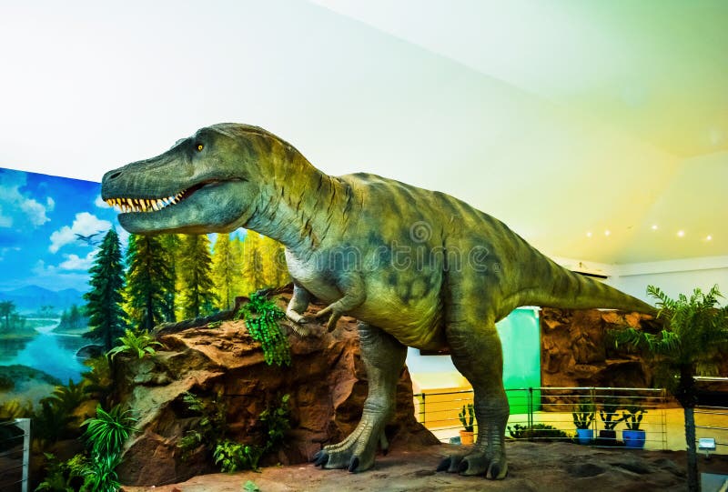 1,828 Dinosaur Model Museum Stock Photos - Free & Royalty-Free Stock ...