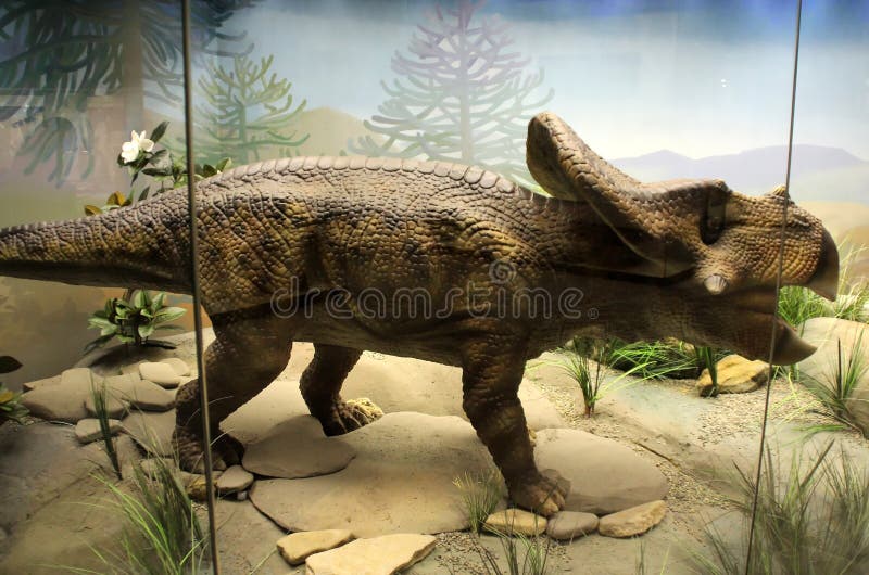 Dinosaur model. editorial photo. Image of inside, fossils - 103028006