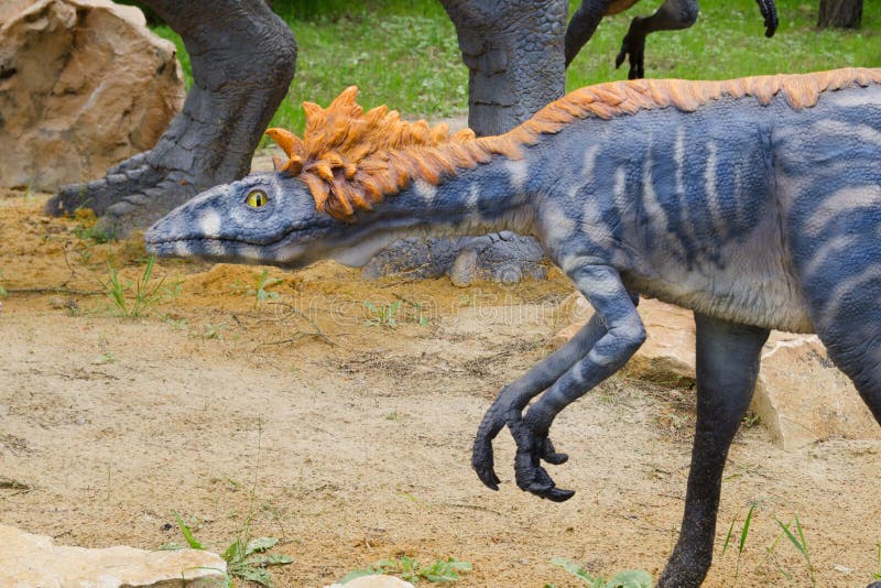 Dinosaur Model Troodon in Dinosaur Park Stock Image - Image of closeup ...