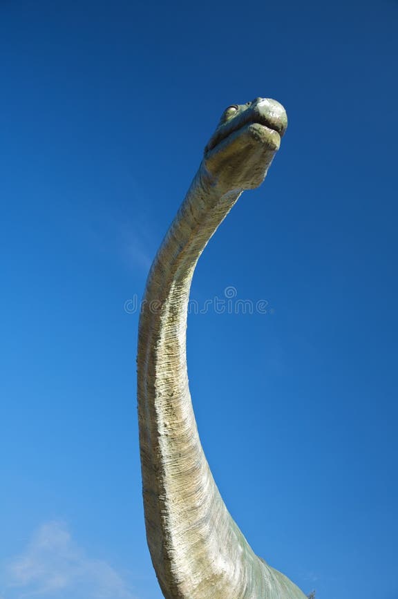 Dinosaur neck stock image. Image of neck, country, park - 8417149