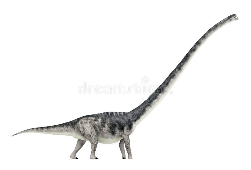 Omeisaurus on White stock illustration. Illustration of creature - 51302251