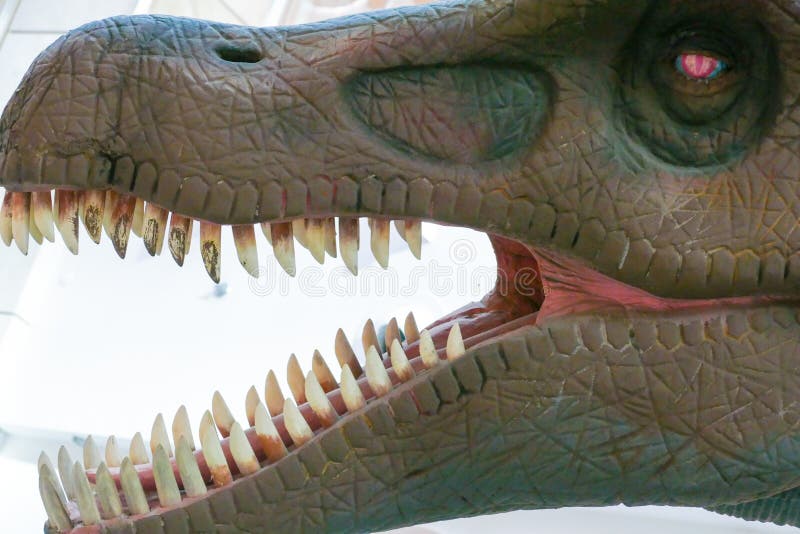 Dinosaur with Open Mouth Mock Stock Photo - Image of eyes, dinosaur ...