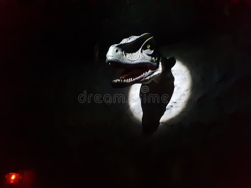 Raptor Shadow Light Wall Danger Stock Image - Image of raptor ...