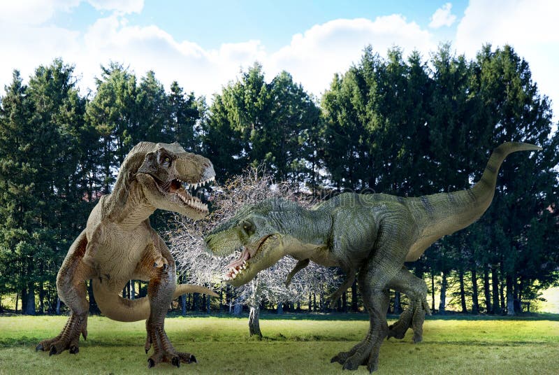 Dinosaurs Fighting Stock Illustrations – 130 Dinosaurs Fighting Stock ...
