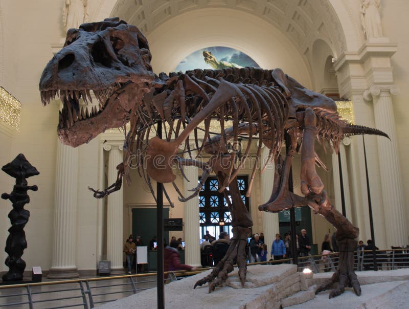 Tyrannosaurus Rex At Field Museum In Chicago Editorial Stock Image ...