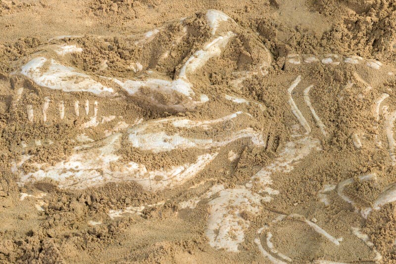Dinosaur Skeleton Model Hidden in the Sand. Training for Dig Fossil ...