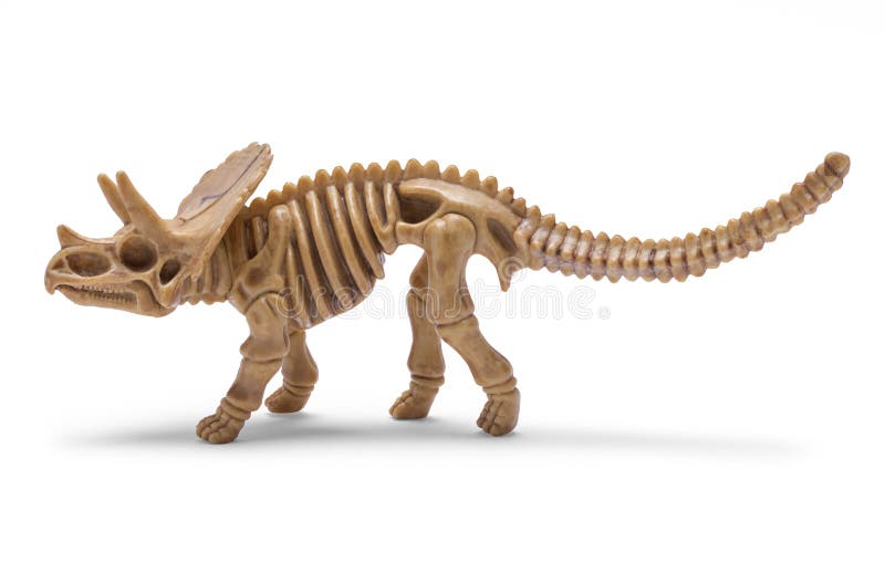 Dino skeleton in stone stock image. Image of dino, skeleton - 44011499