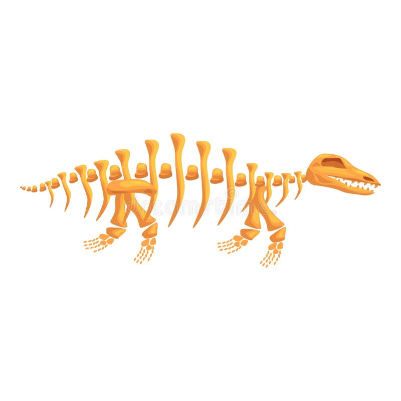 Dinosaur Skeleton Posing with Fearsome Claws and Teeth Showing Stock ...