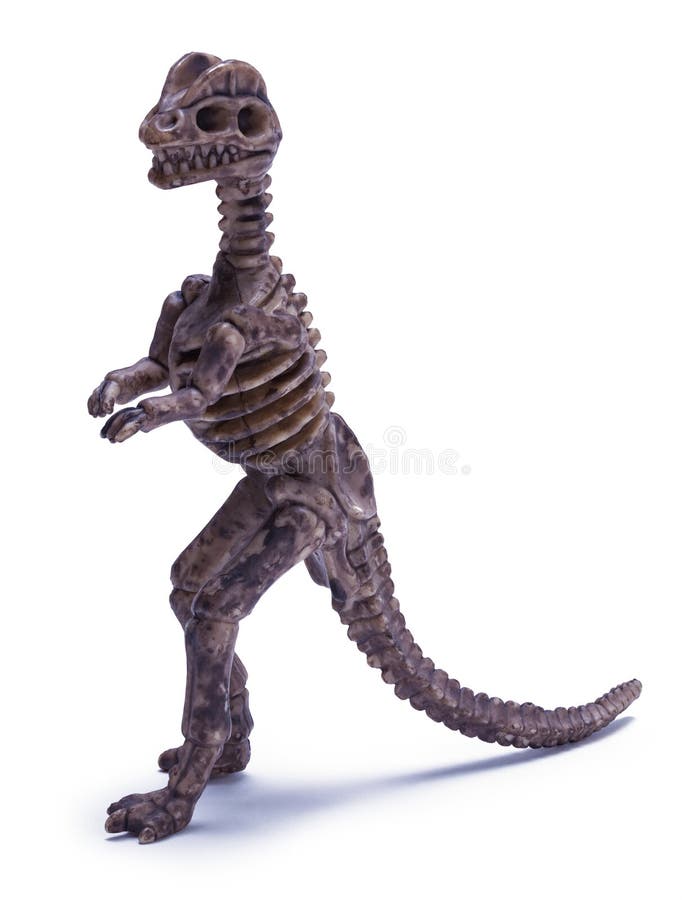 Dinosaur Skeleton Toy stock image. Image of jurassic - 320665223