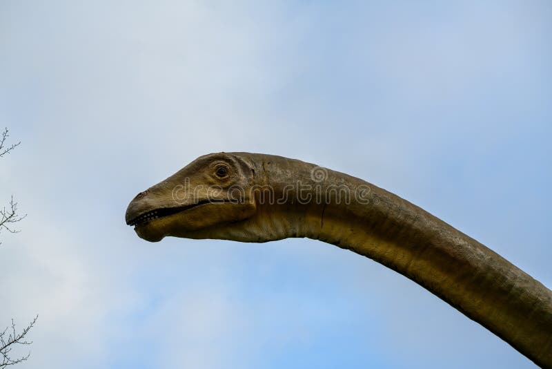 A Dinosaur Sticks Its Neck into the Picture. Stock Photo - Image of ...
