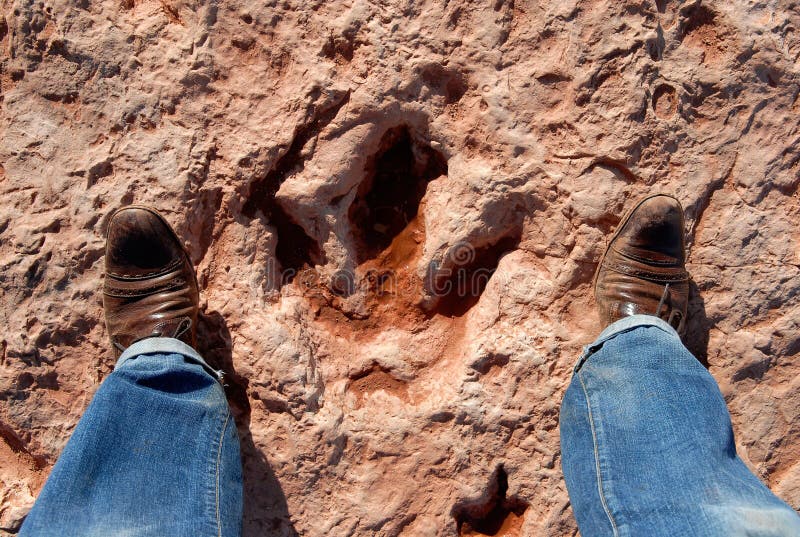Dinosaur Tracks, Outside Moab, Utah, USA Stock Photo - Image of ...