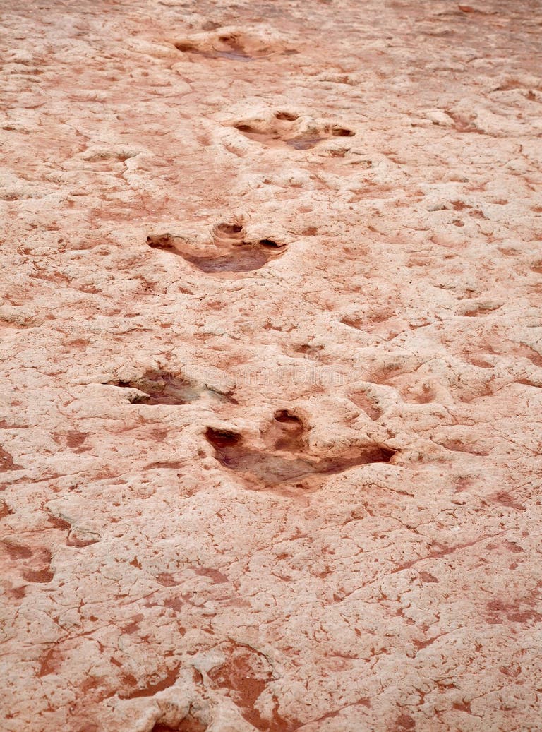 1,041 Dinosaur Foot Printing Stock Photos - Free & Royalty-Free Stock ...