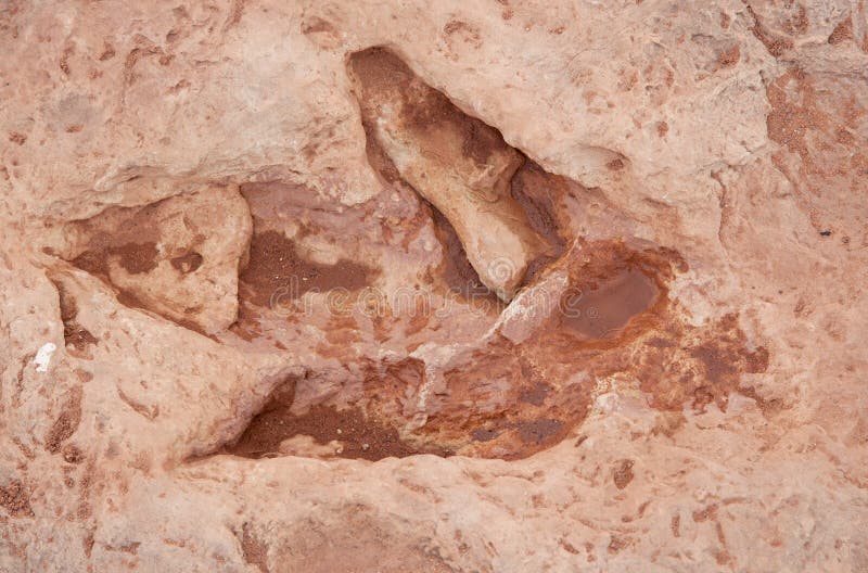Dinosaur tracks stock photo. Image of track, lizard, extinct - 20078514