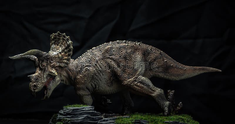 Dinosaur , Triceratops in the Dark Stock Image - Image of jurassic ...