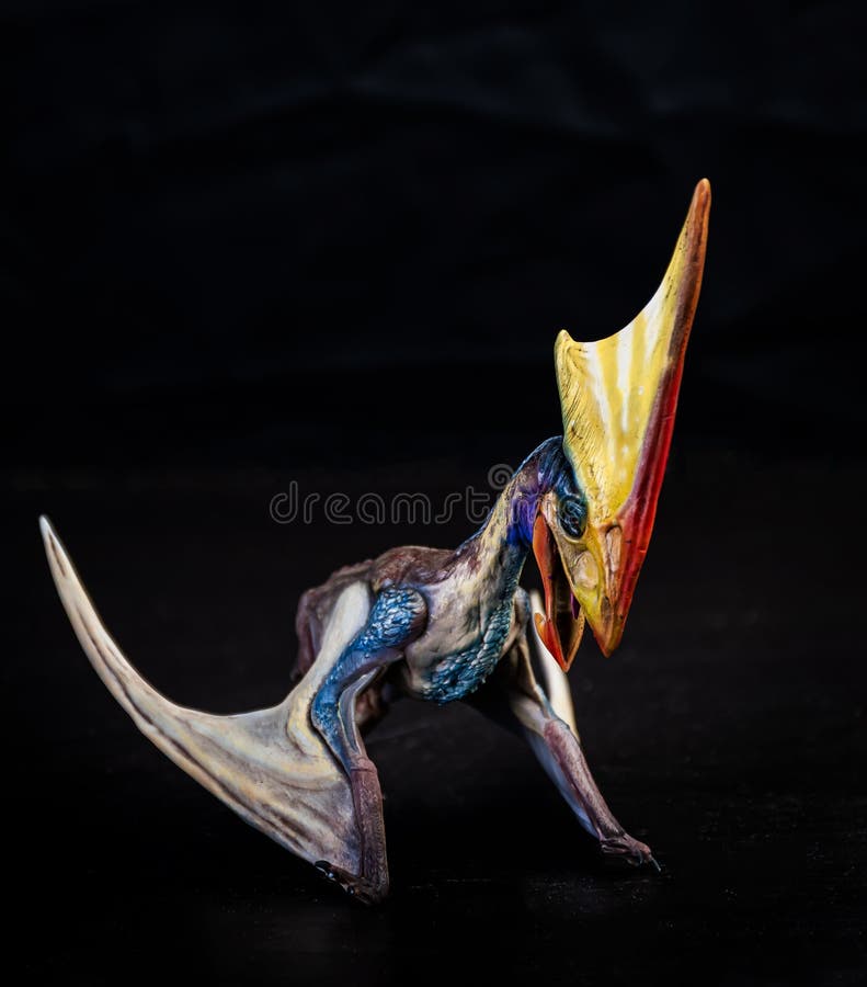 124 Pteranodon Fossil Stock Photos - Free & Royalty-Free Stock Photos ...