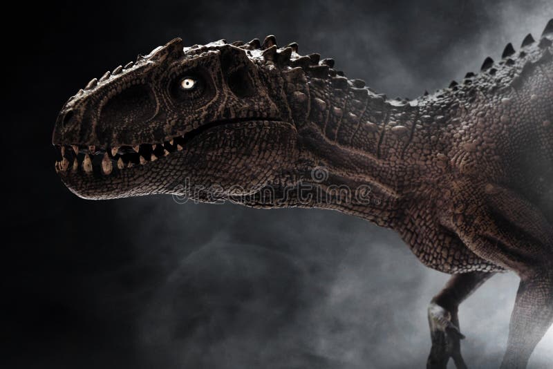Dinosaur, Tyrannosaurus Rex on Dark Backgrounds Stock Photo - Image of ...