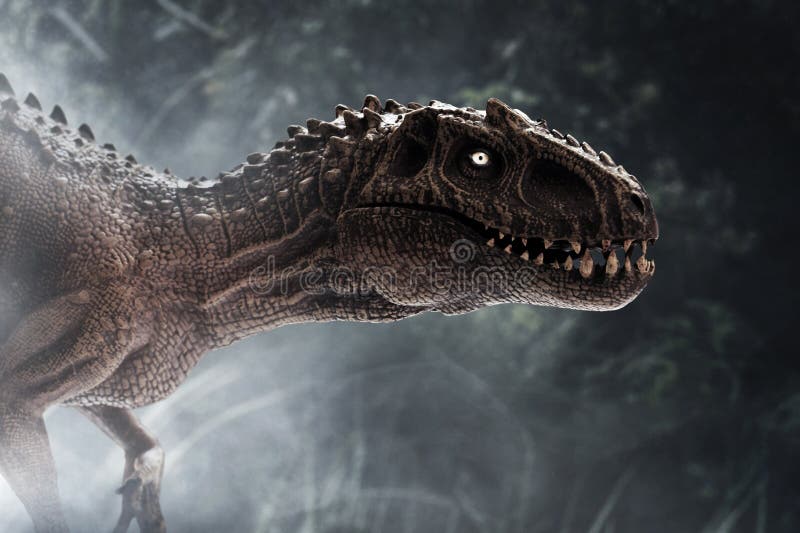 Dinosaur, Tyrannosaurus Rex on the Jungle Stock Image - Image of ...