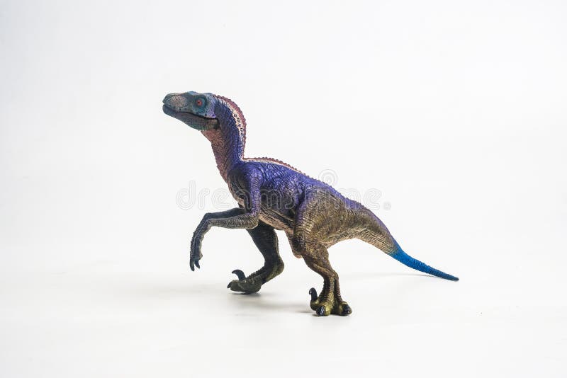Dinosaur , Velociraptor on White Background Stock Image - Image of ...