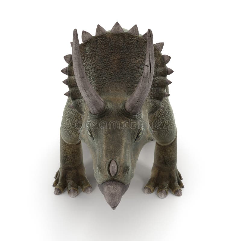 Dinosaure De Triceratops Sur Le Blanc Front View Illustration 3D ...