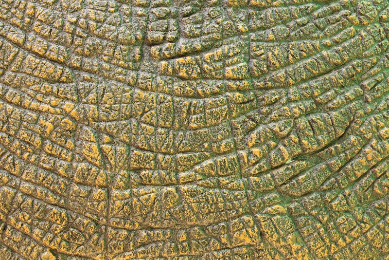 Dinosaurier-Haut-Beschaffenheit Stockbild - Bild von hintergrund ...