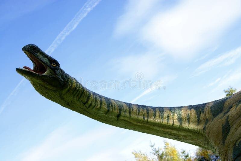 Plateosaurus Dinosaur Head Fotos de stock - Fotos libres de regalías de ...