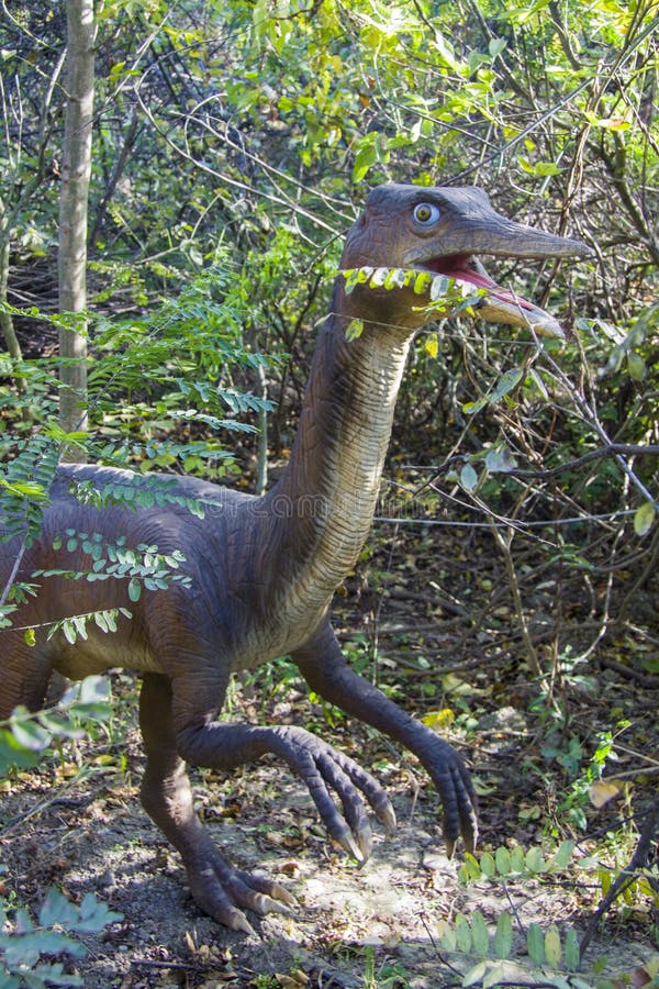 Dinosaurio Gallimimus Fotos de stock - Fotos libres de regalías de ...