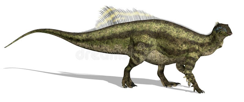 Dinossauro De Corythosaurus Ilustração Stock - Ilustração de renda ...