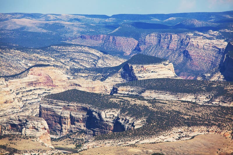 Dinosaur Np Stock Photos - Free & Royalty-Free Stock Photos from Dreamstime