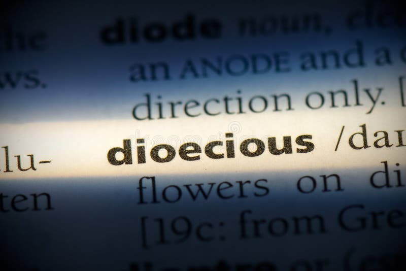Dioecious stock image. Image of meaning, word, text - 161393253