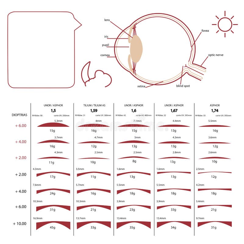 Dioptrías Del Ojo Para El Negocio Stock de ilustración - Ilustración de ...