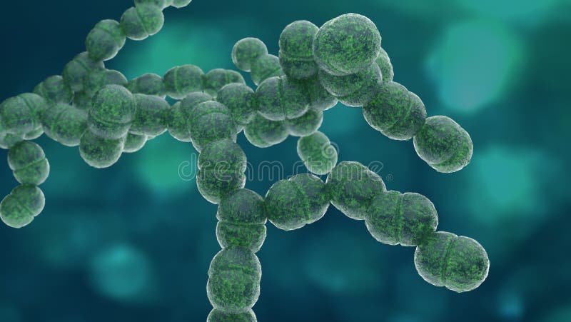 Diplococcus bacteria stock image. Image of aerobic, bacterium - 128909381
