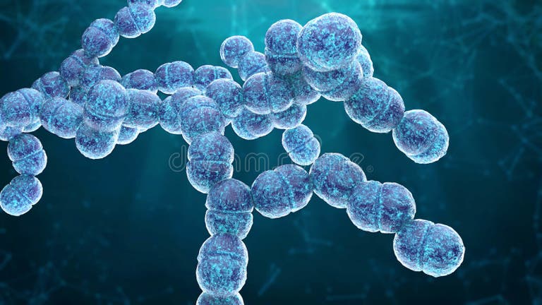 Diplococcus Bacterium 3d Render Stock Illustration - Illustration of ...
