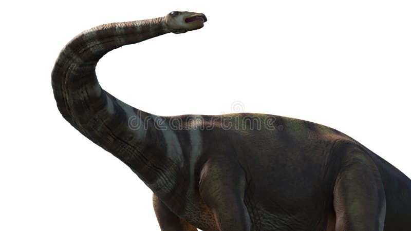 Diplodocus stock illustration. Illustration of extinction - 103912598