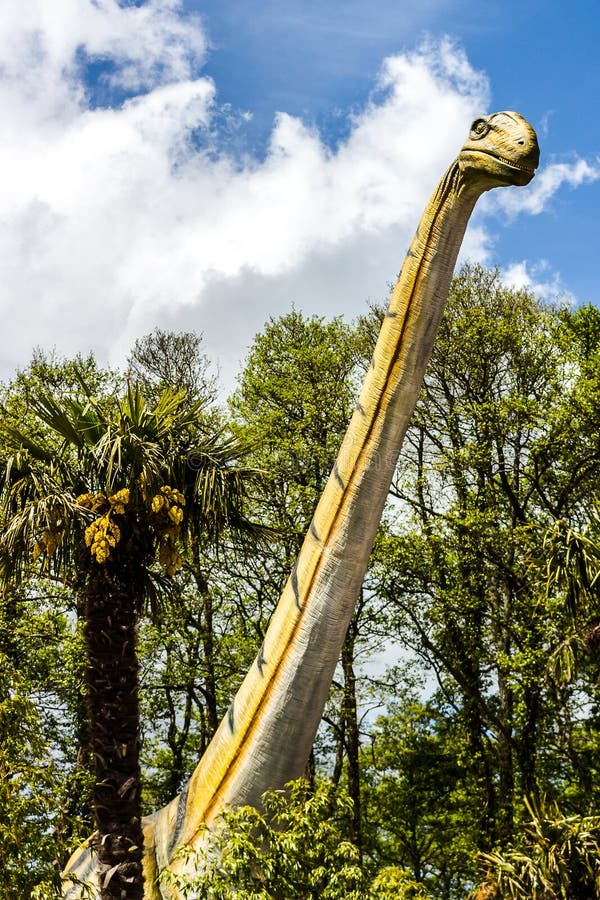 Diplodocus with His Long, Long Neck Editorial Stock Image - Image of ...
