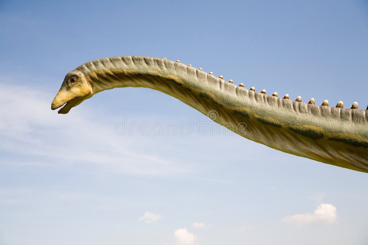 Diplodocus Longus Neck Stock Photos - Free & Royalty-Free Stock Photos ...