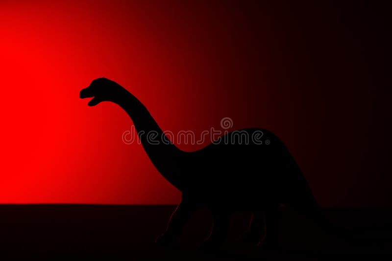 944 Diplodocus Stock Photos - Free & Royalty-Free Stock Photos from ...