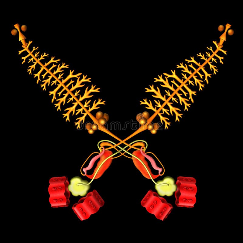 Diplozoon stock de ilustración. Ilustración de fondo - 45342321