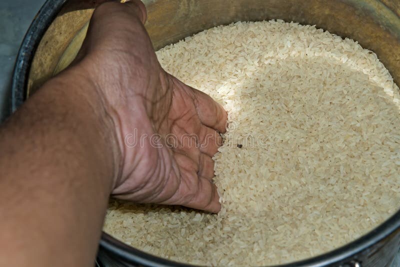 Dipping Fingers in a Bucket of Basmati Rice Stock Image - Image of ...