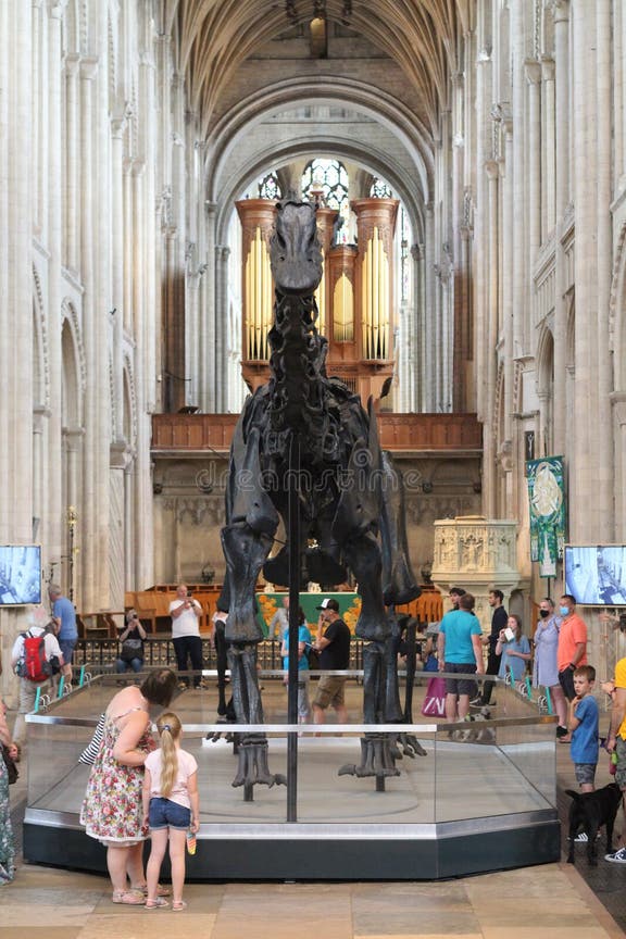 Dippy the dinosaur editorial photo. Image of iron, industry - 260909961