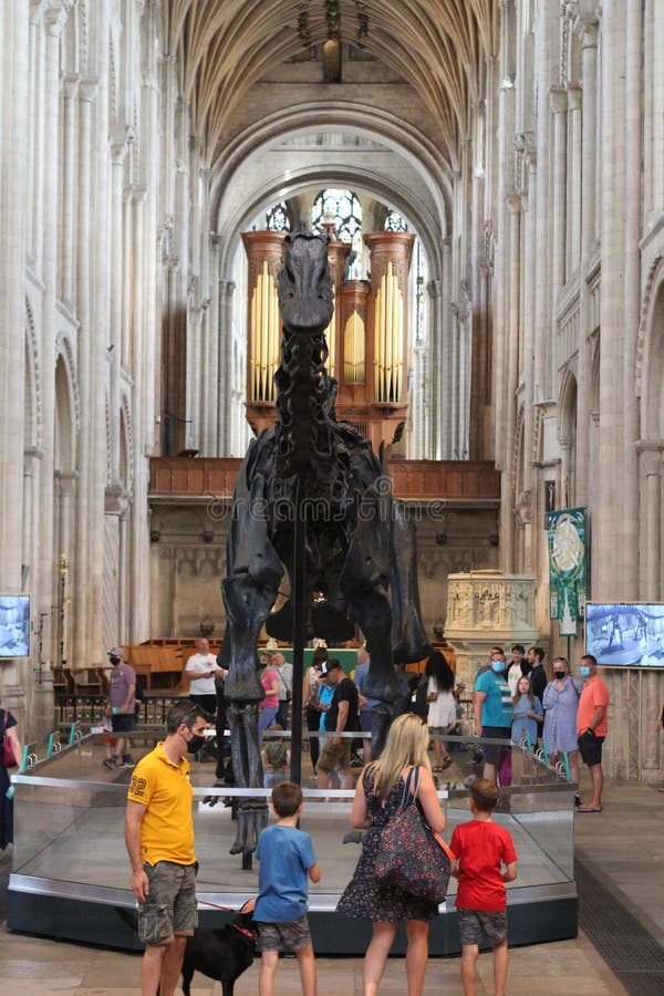 Dippy the dinosaur editorial photo. Image of dinosaur - 260909991