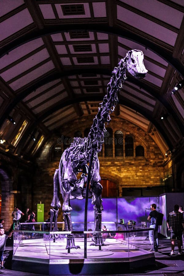 Dippy london museum editorial image. Image of festival - 252409460