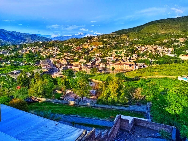 Dir lower stock image. Image of nature, greenry, lower - 180186601