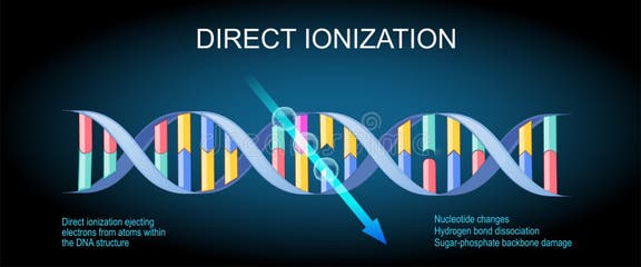 Direct Ionization and DNA Damange Stock Illustration - Illustration of ...