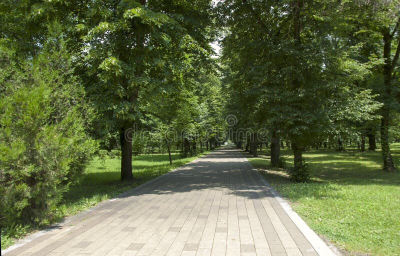 Direct road stock image. Image of sunlight, line, scenics - 55070327