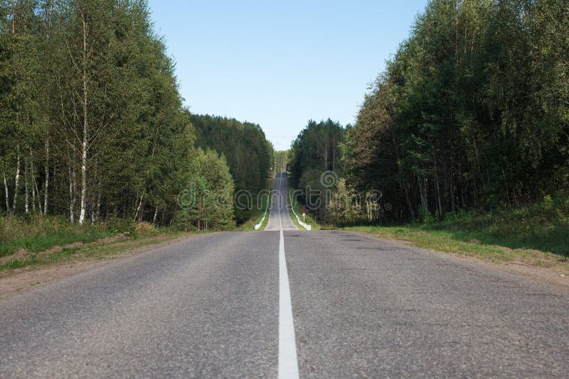 Direct road among trees stock photo. Image of cloud, direction - 78978844