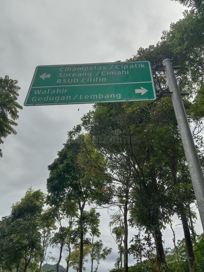 Direction Board with a Tree View Stock Image - Image of signage, sign ...