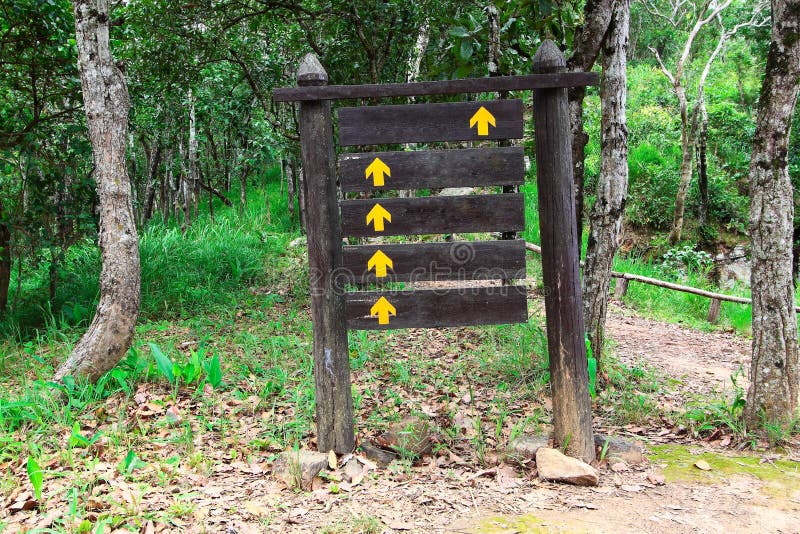 Direction for the Pathway in the Jungle Stock Image - Image of trail ...