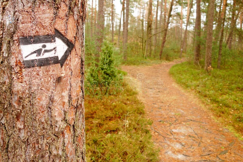 Direction mark by the path stock photo. Image of human - 68165110