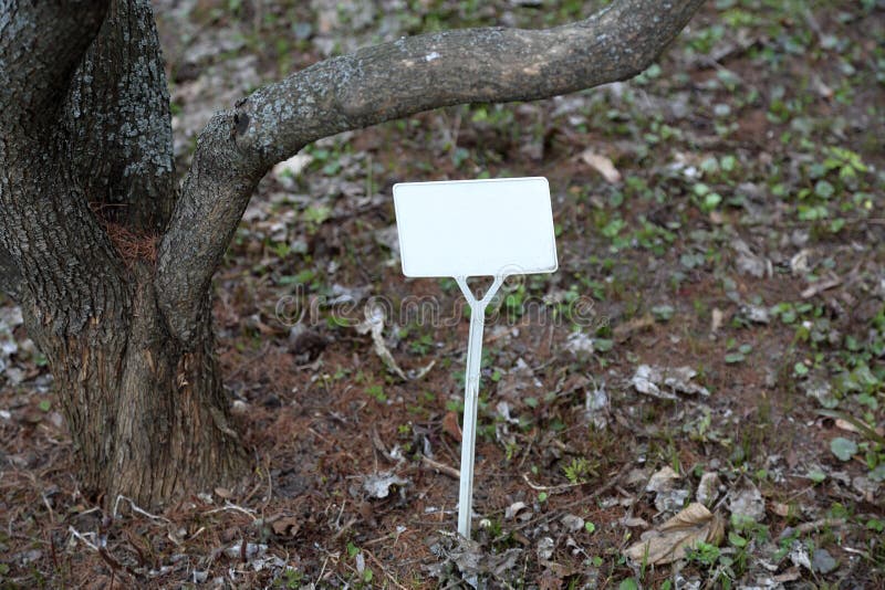 Direction Pointer without Words Stock Image - Image of signpost, guide ...